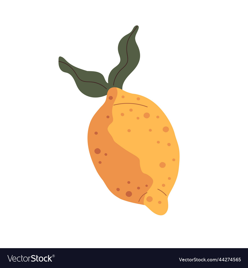 Lemon with leaf whole citrus fruit with yellow Vector Image