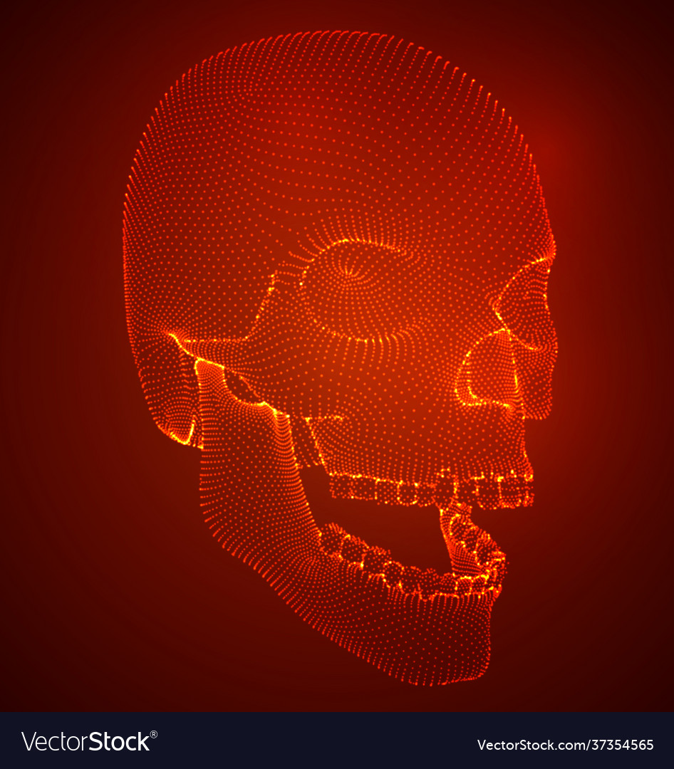 Set human skulls with square and triangular Vector Image