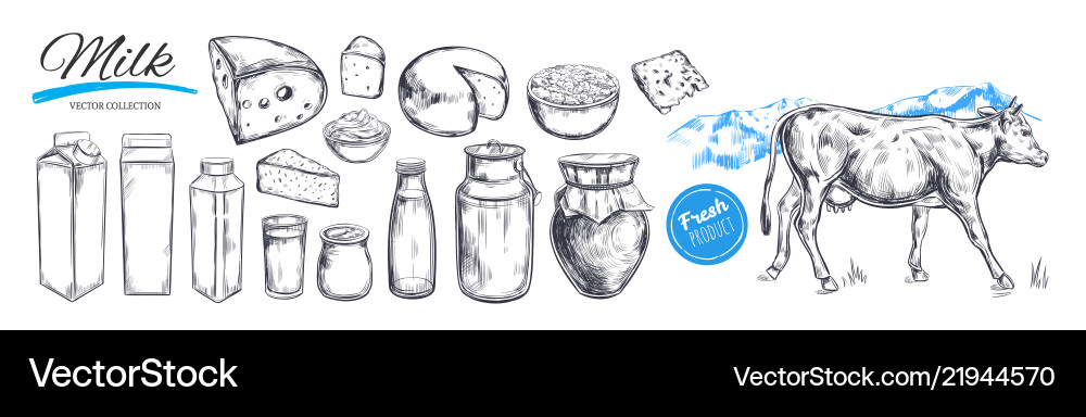Dairy products collection cow milk Royalty Free Vector Image