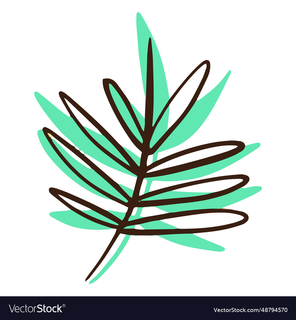 Doodle leaf Royalty Free Vector Image - VectorStock