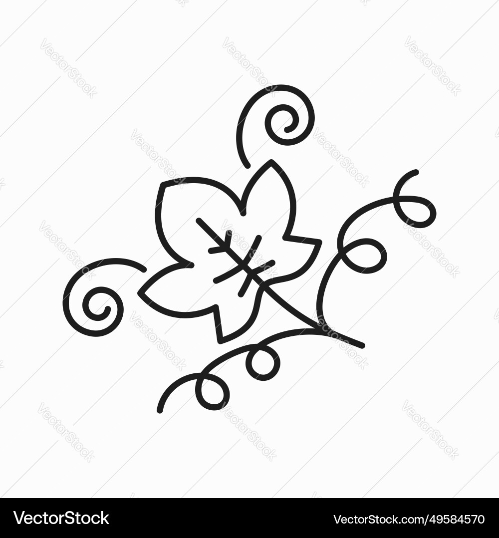 Grape leaf on stem isolated leaves outline icon Vector Image