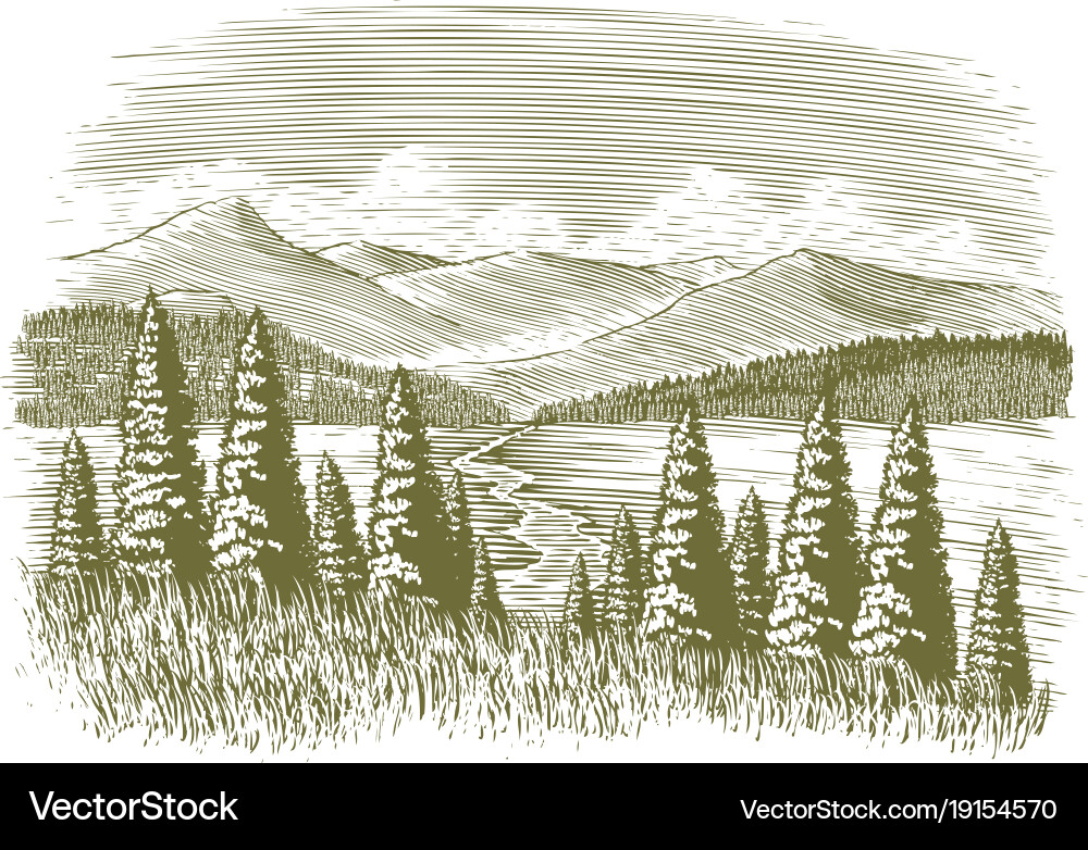 Woodcut vintage wilderness Royalty Free Vector Image