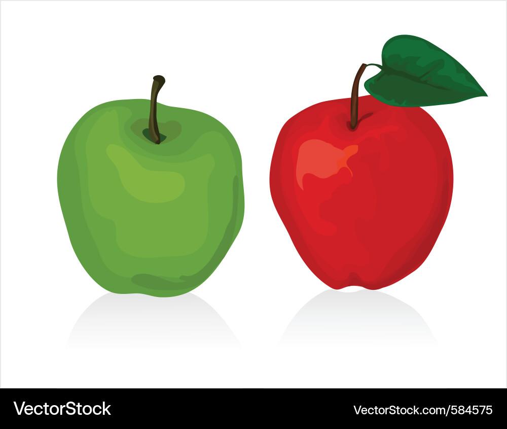 Apples Royalty Free Vector Image - VectorStock
