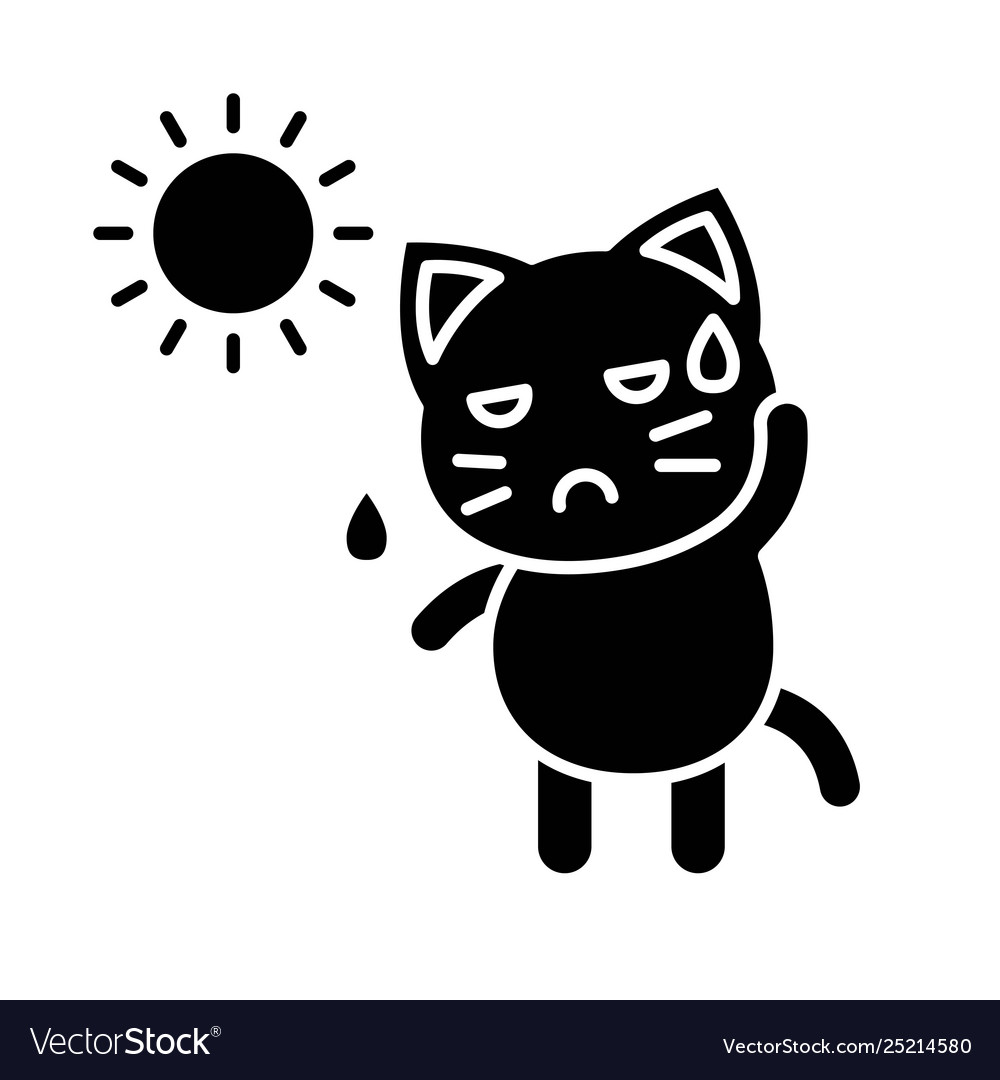 Cute cat avatar solid icon Royalty Free Vector Image