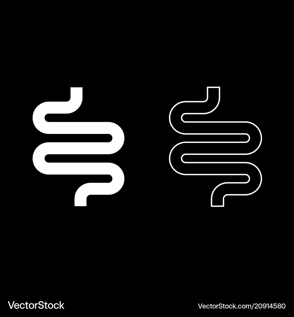 Intestine or bowels icon set white color flat Vector Image