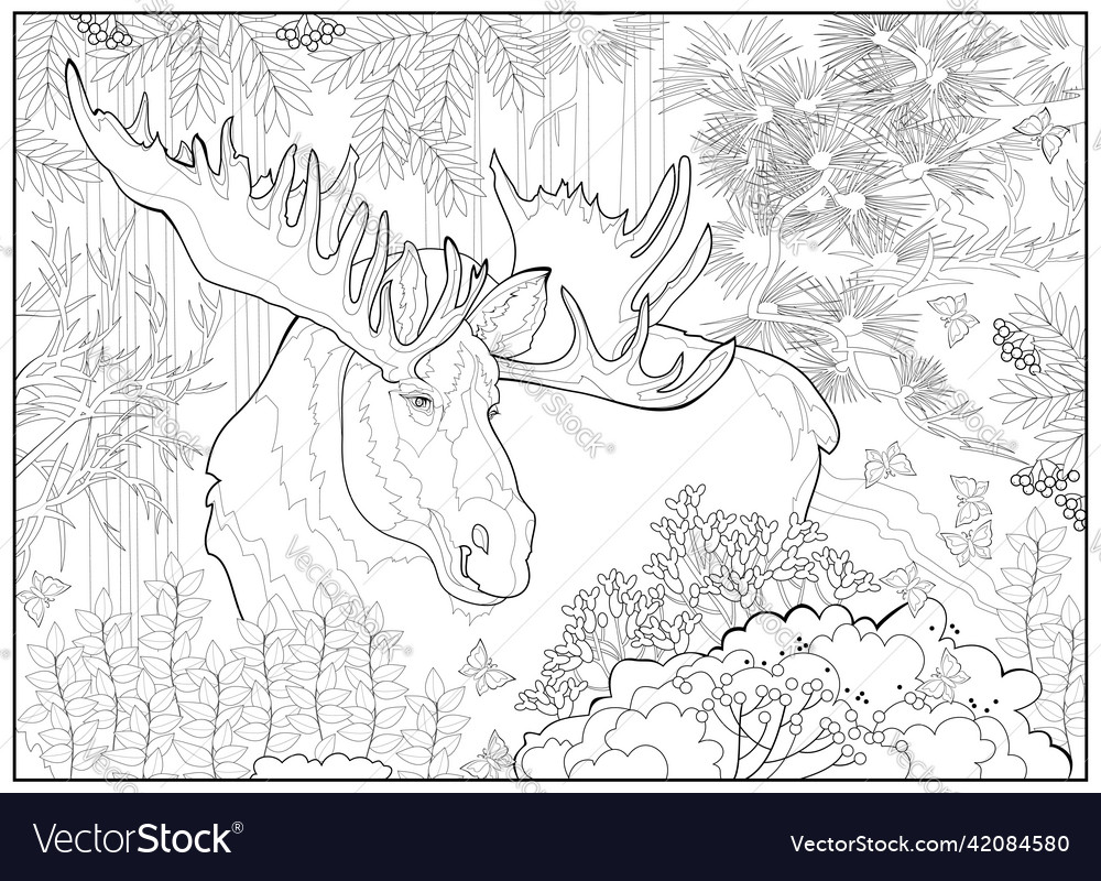 Moose with antlers in summer forest coloring book Vector Image