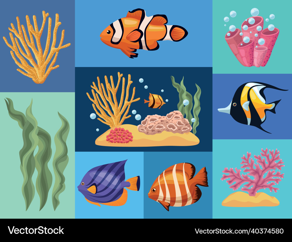 Nine sealife underwater icons Royalty Free Vector Image