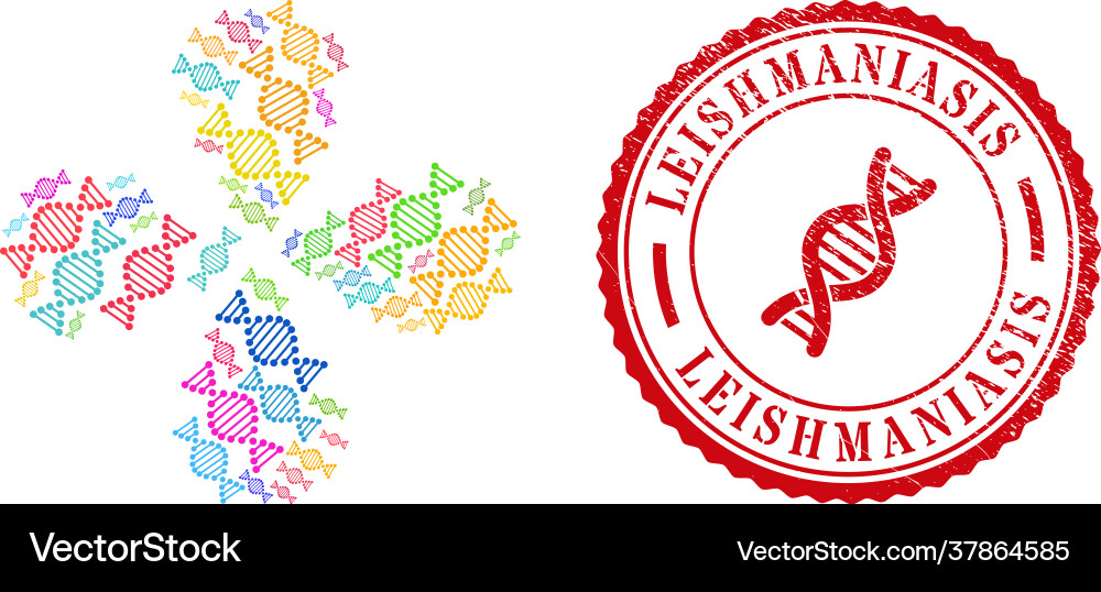 Leishmaniasis distress stamp and dna molecule Vector Image