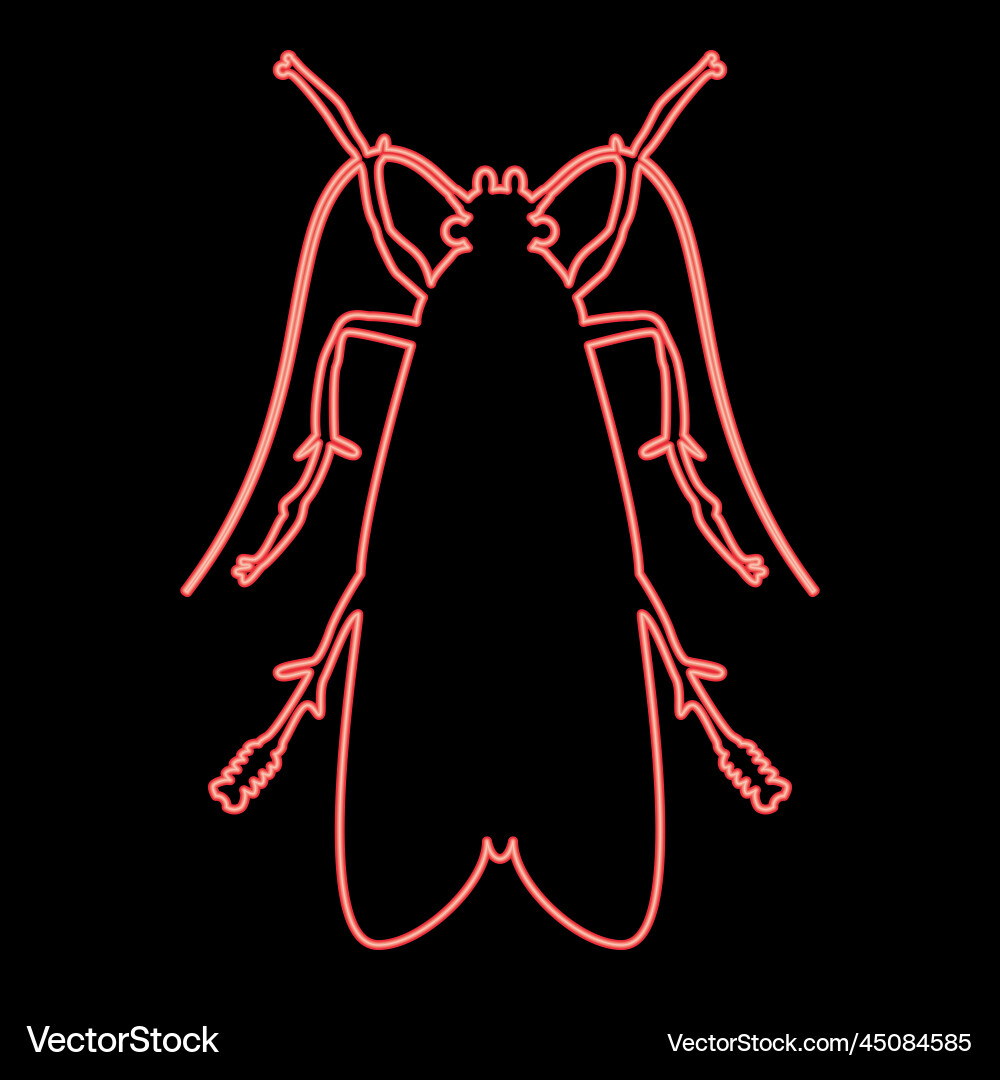 Neon clothes moth clothing moth fly insect pest Vector Image