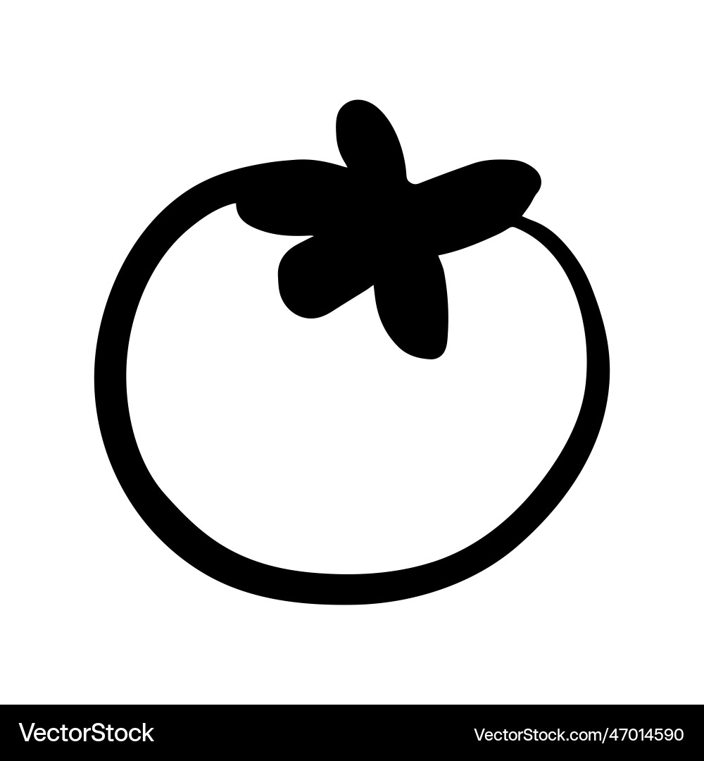 Doodle tomato hand drawn fresh outline vegetable Vector Image