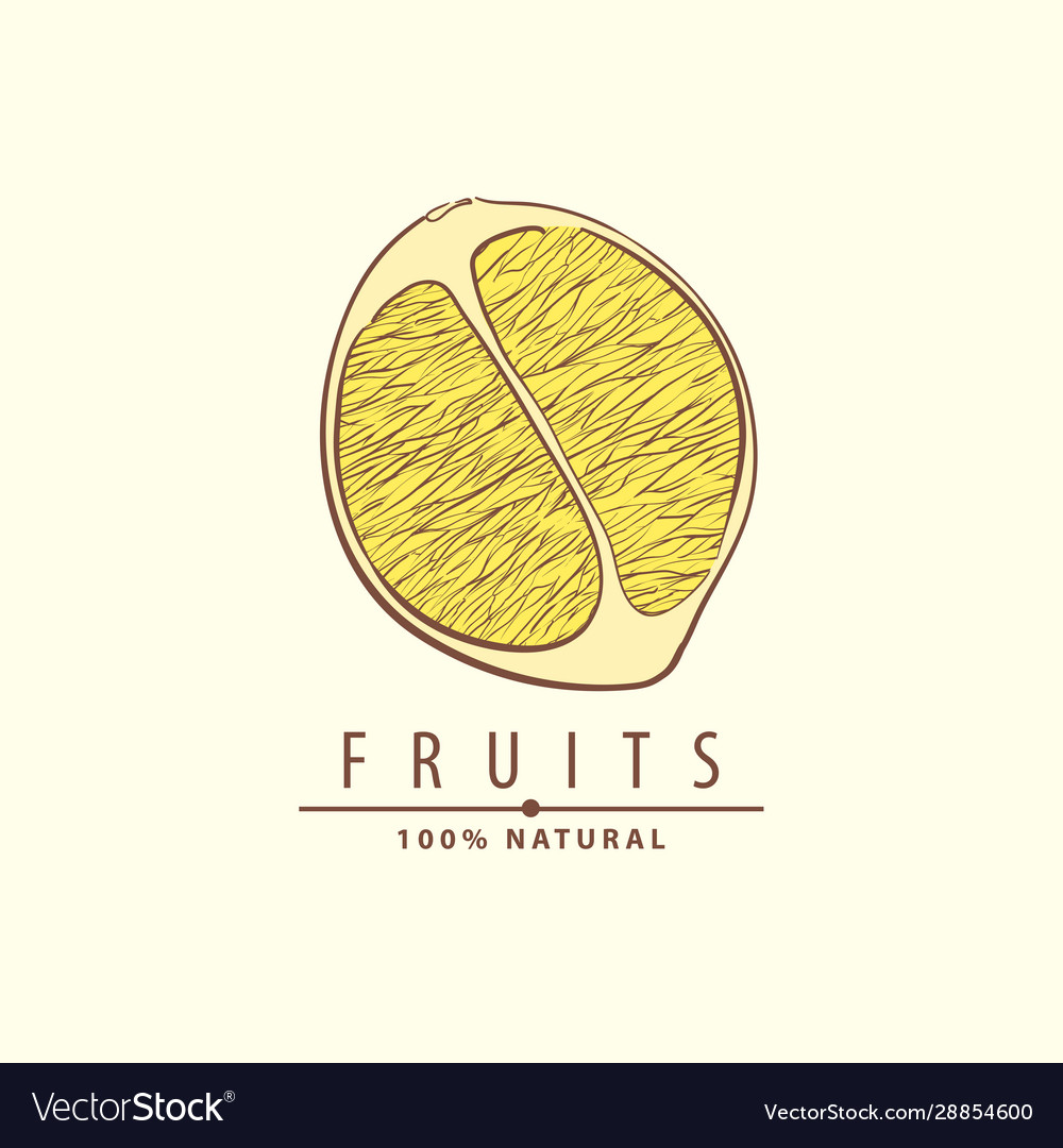 Fresh juicy lemon Royalty Free Vector Image - VectorStock