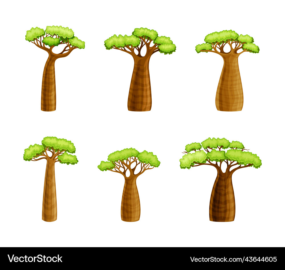 African Tree Roots Vector