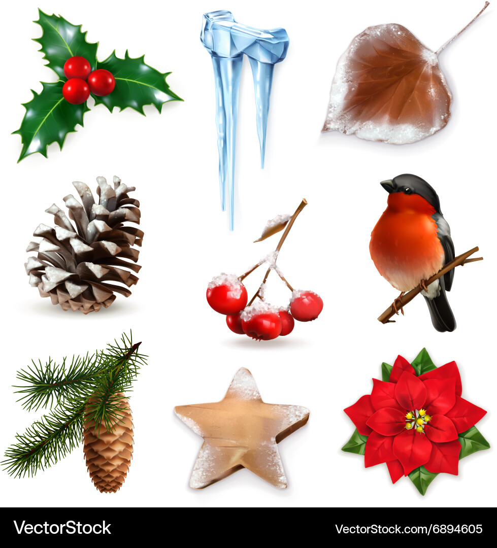 Winter scrap set elements Royalty Free Vector Image
