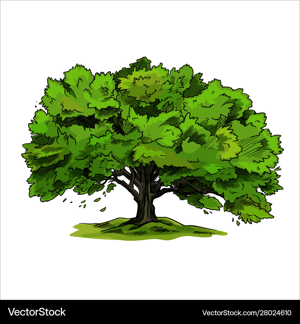 Hand Drawn Tree With Leaves