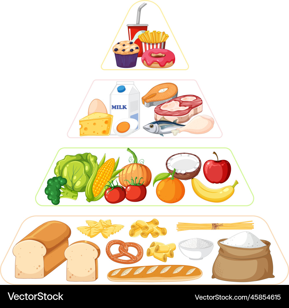 Food nutrition groups pyramid Royalty Free Vector Image