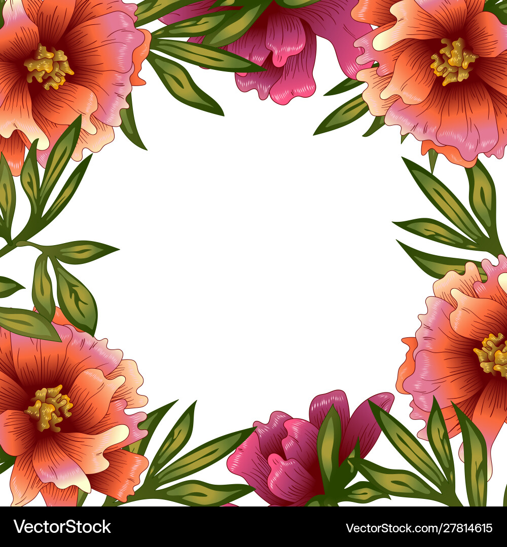 Peony frame flowers in a style Royalty Free Vector Image