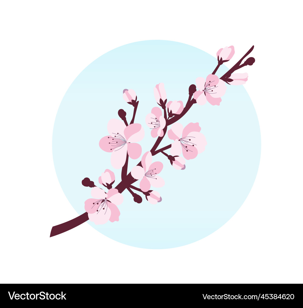 Cherry blossom a branch with blossoms Royalty Free Vector