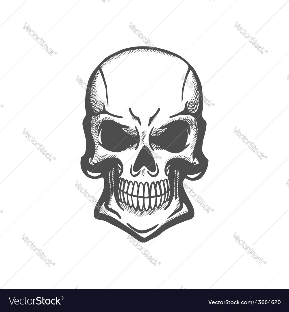 Human skull monochrome sketch tattoo design Vector Image