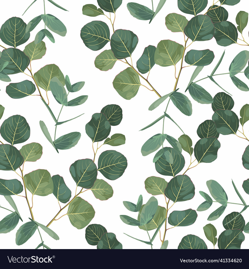 Seamless pattern with eucalyptus Royalty Free Vector Image