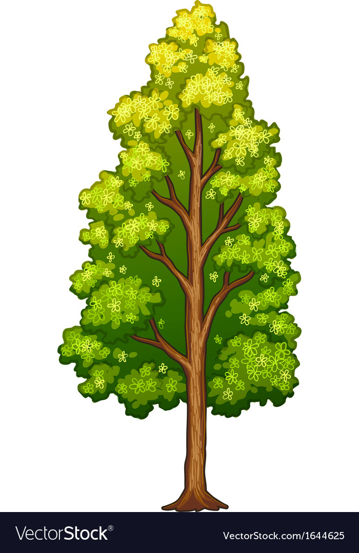 A tree Royalty Free Vector Image - VectorStock