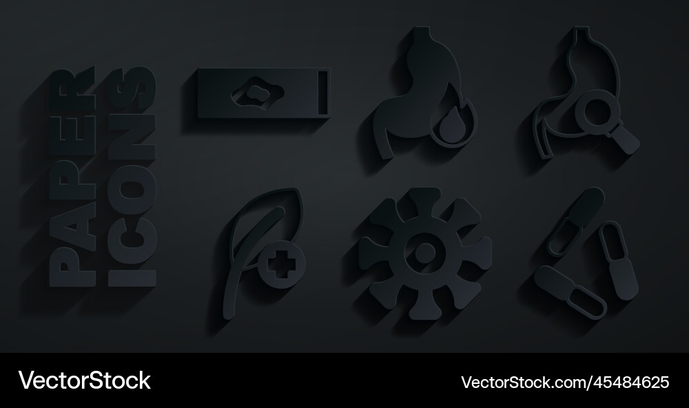 Set bacteria stomach with magnifying glass leaf Vector Image