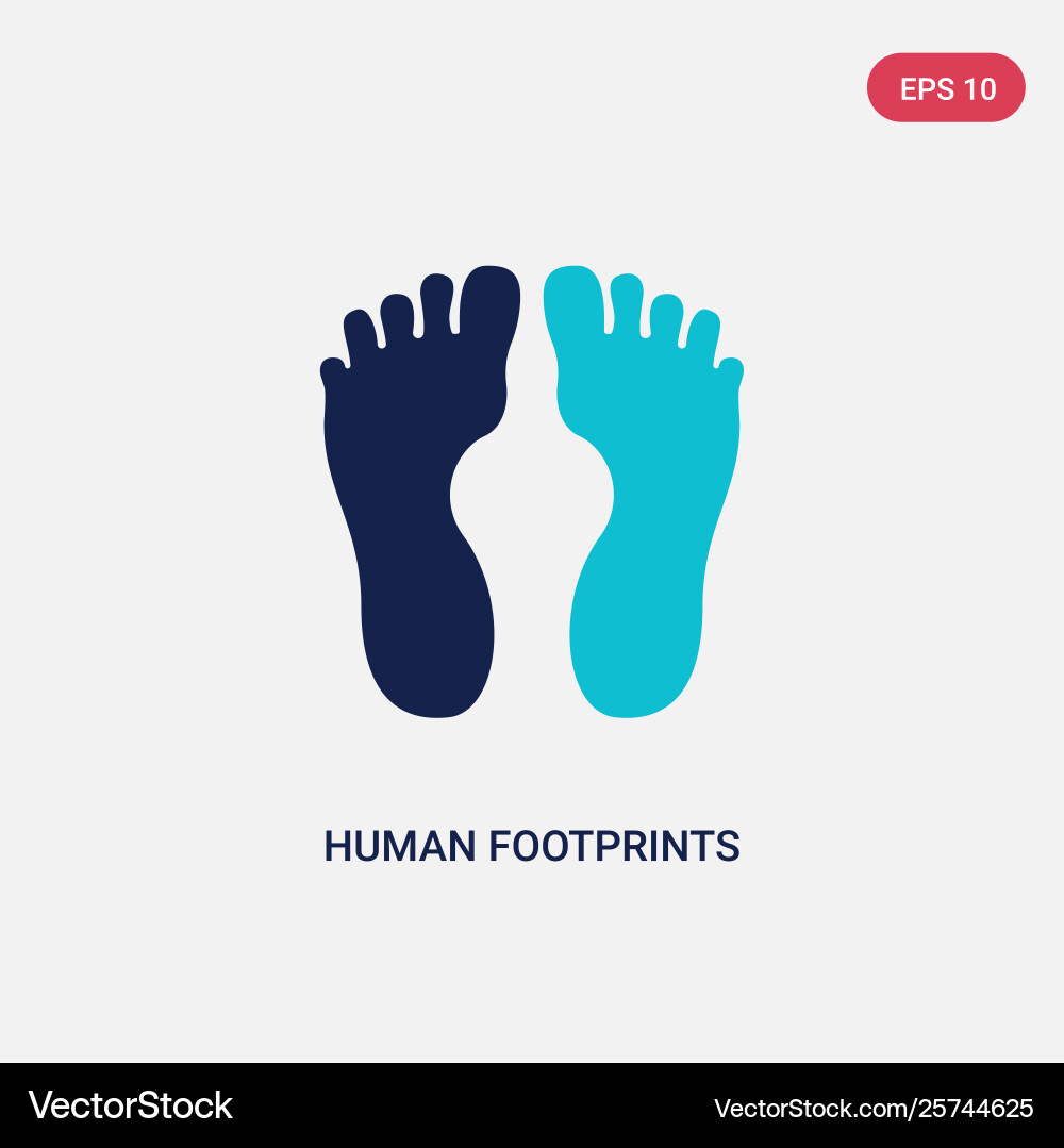 Two color human footprints icon from human body Vector Image
