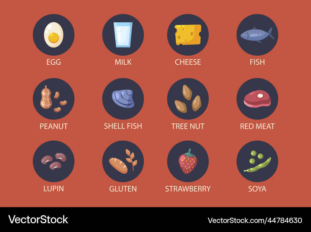 Food allergy label set design Royalty Free Vector Image