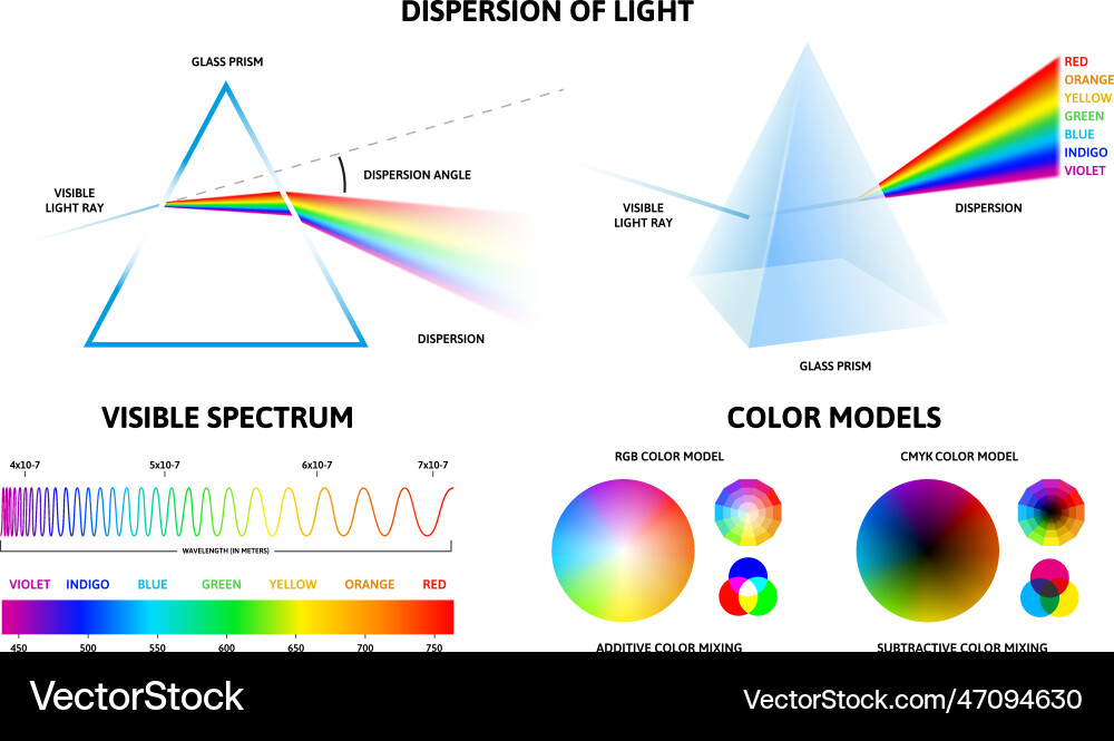 Light spectrum infographic physics of rays Vector Image