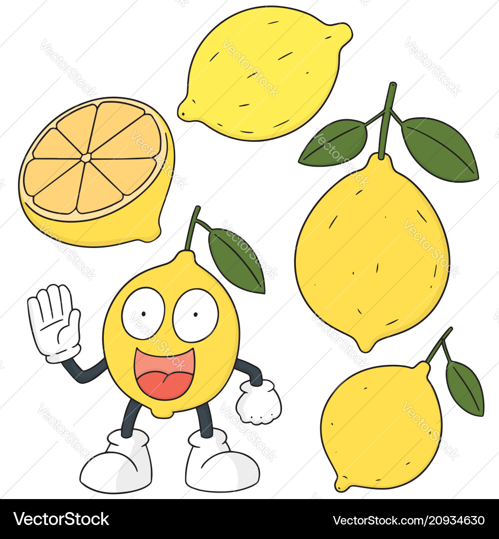 Set of lemon Royalty Free Vector Image - VectorStock