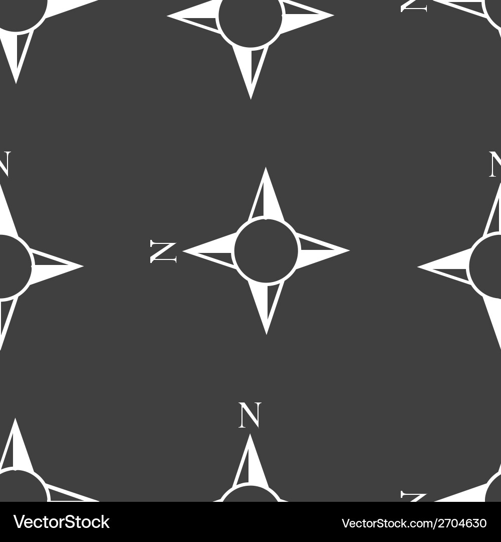 Side of the world compass web icon flat design Vector Image