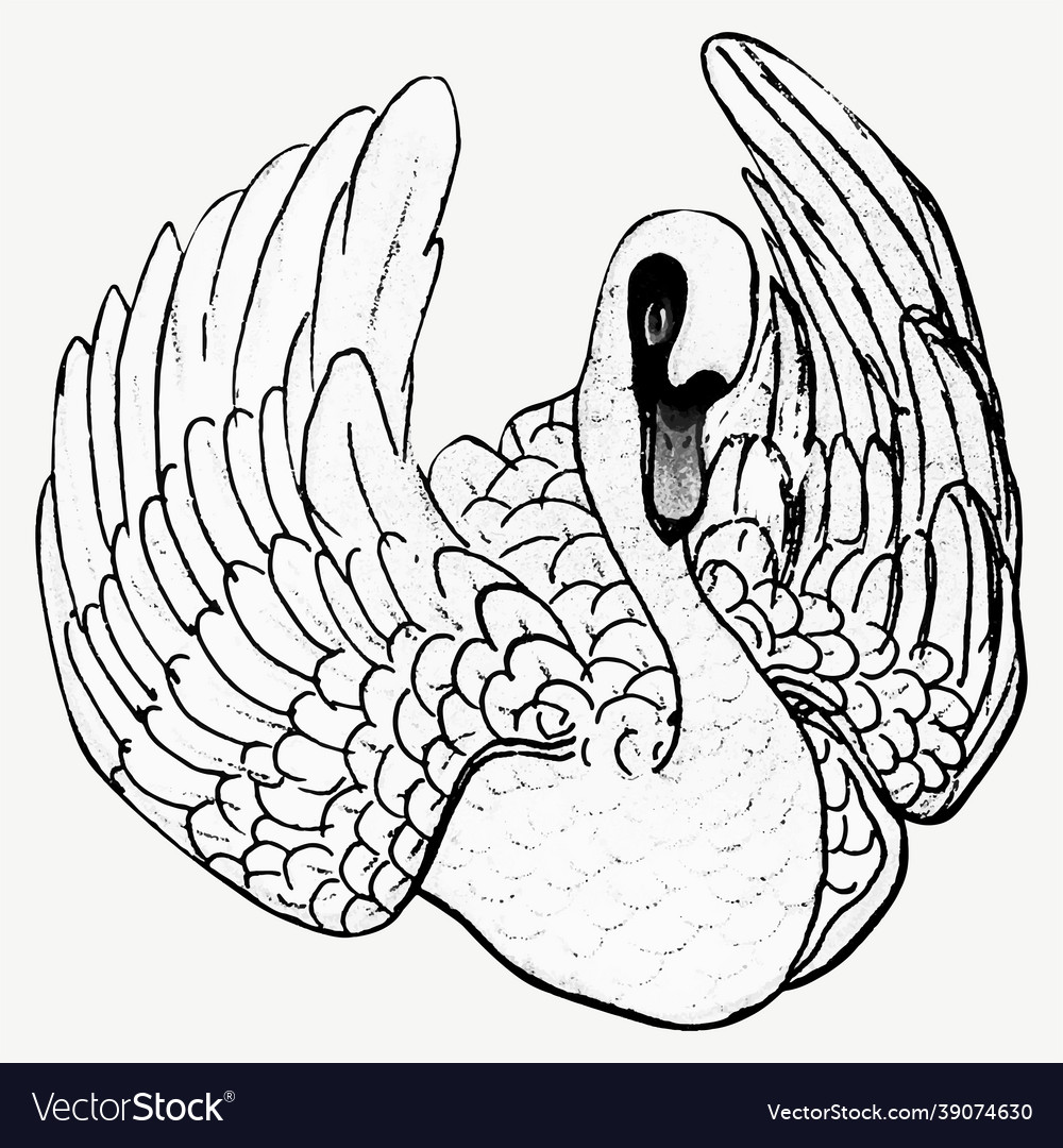 Template trace Royalty Free Vector Image - VectorStock