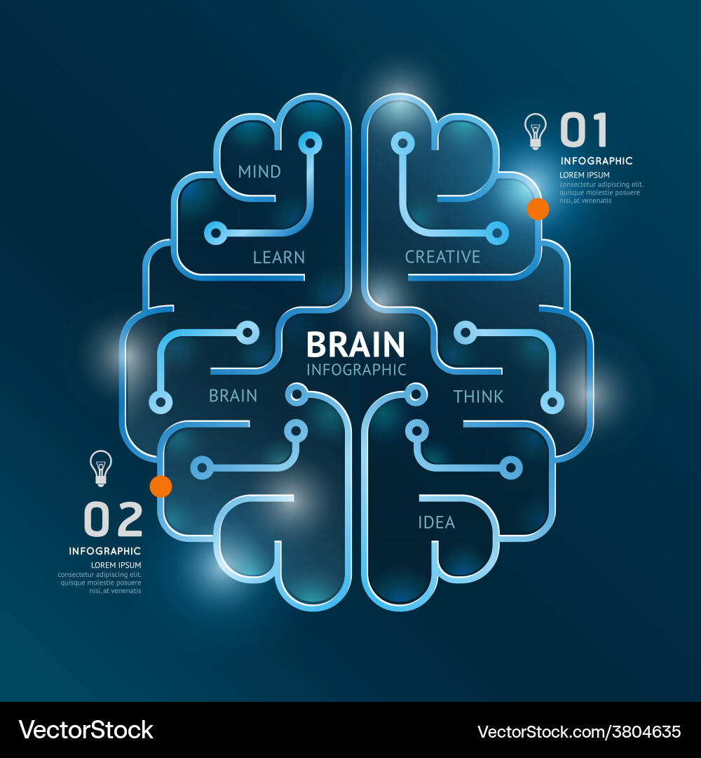 Infographics brain design diagram banner line Vector Image