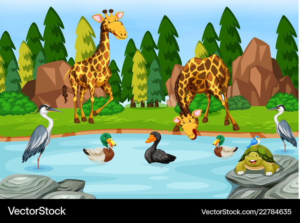 Wild animal in nature Royalty Free Vector Image
