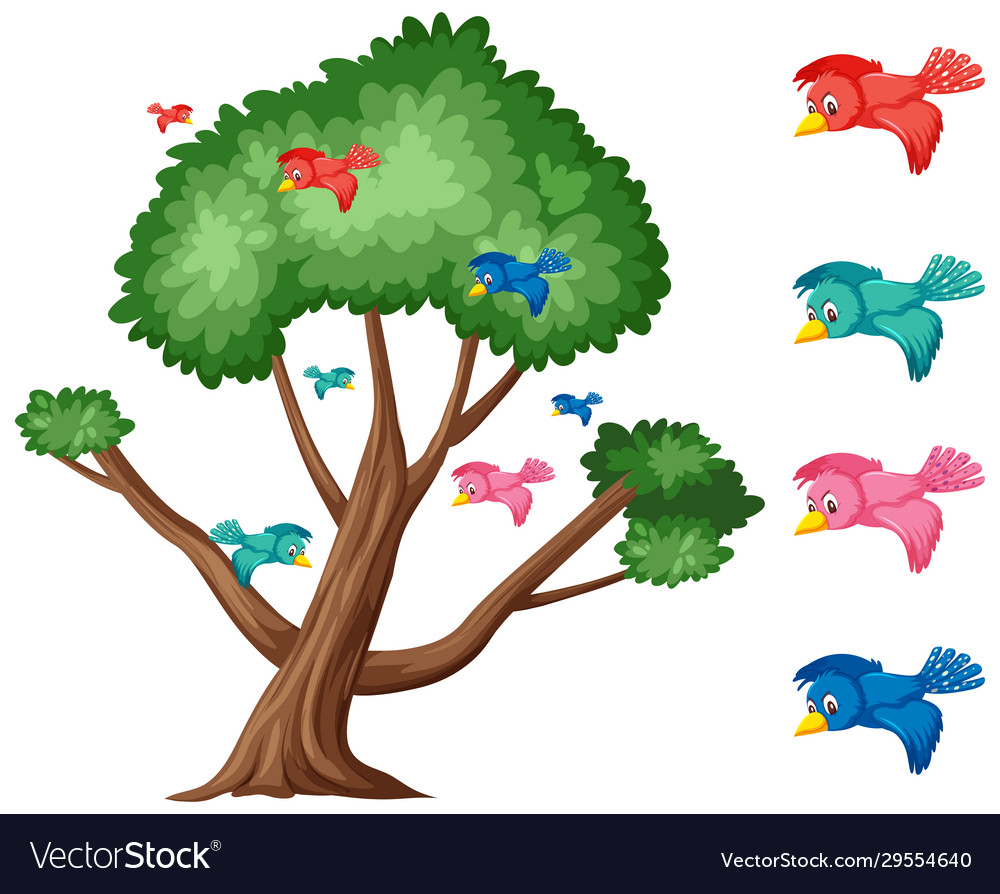 Big tree and colorful birds on white background Vector Image