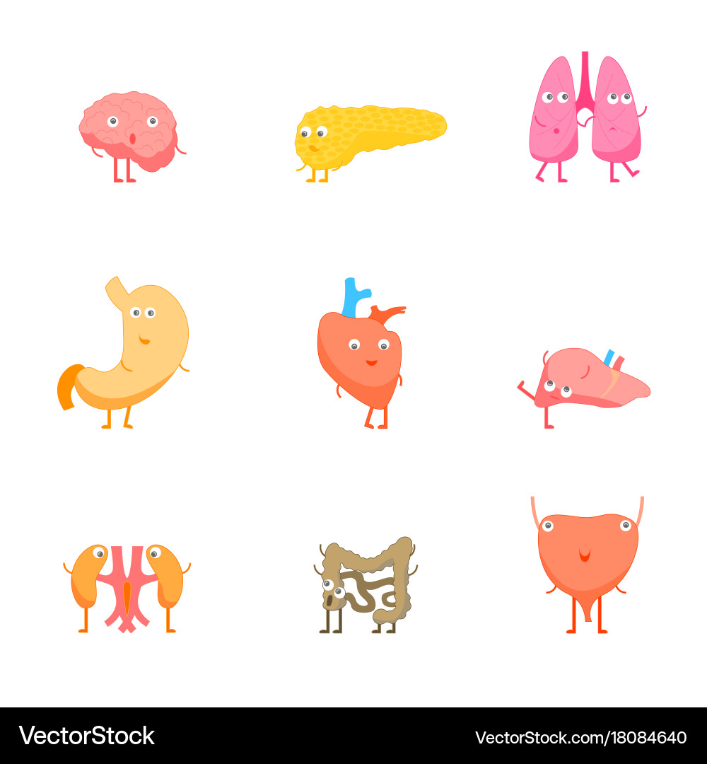 Cartoon internal organs funny emotions set Vector Image