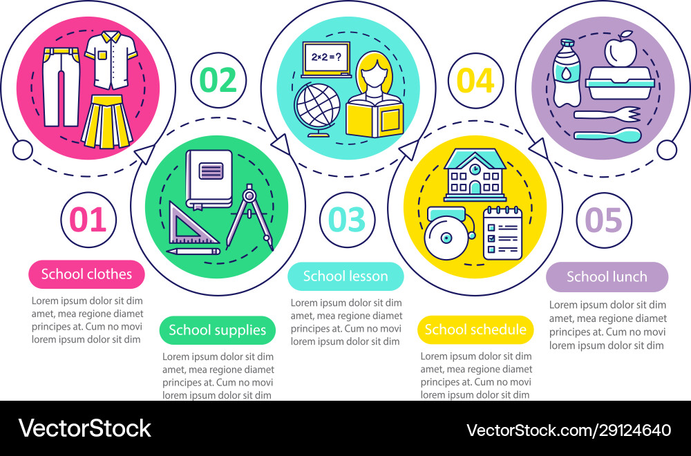 School life infographic template education Vector Image