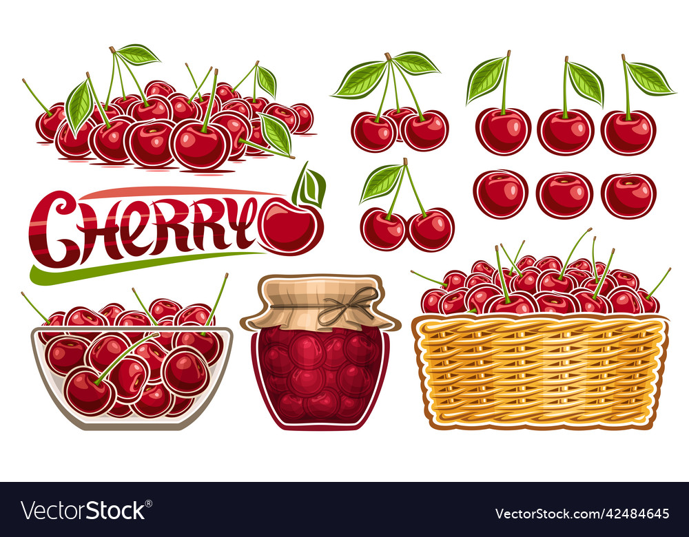 Cherry set Royalty Free Vector Image - VectorStock