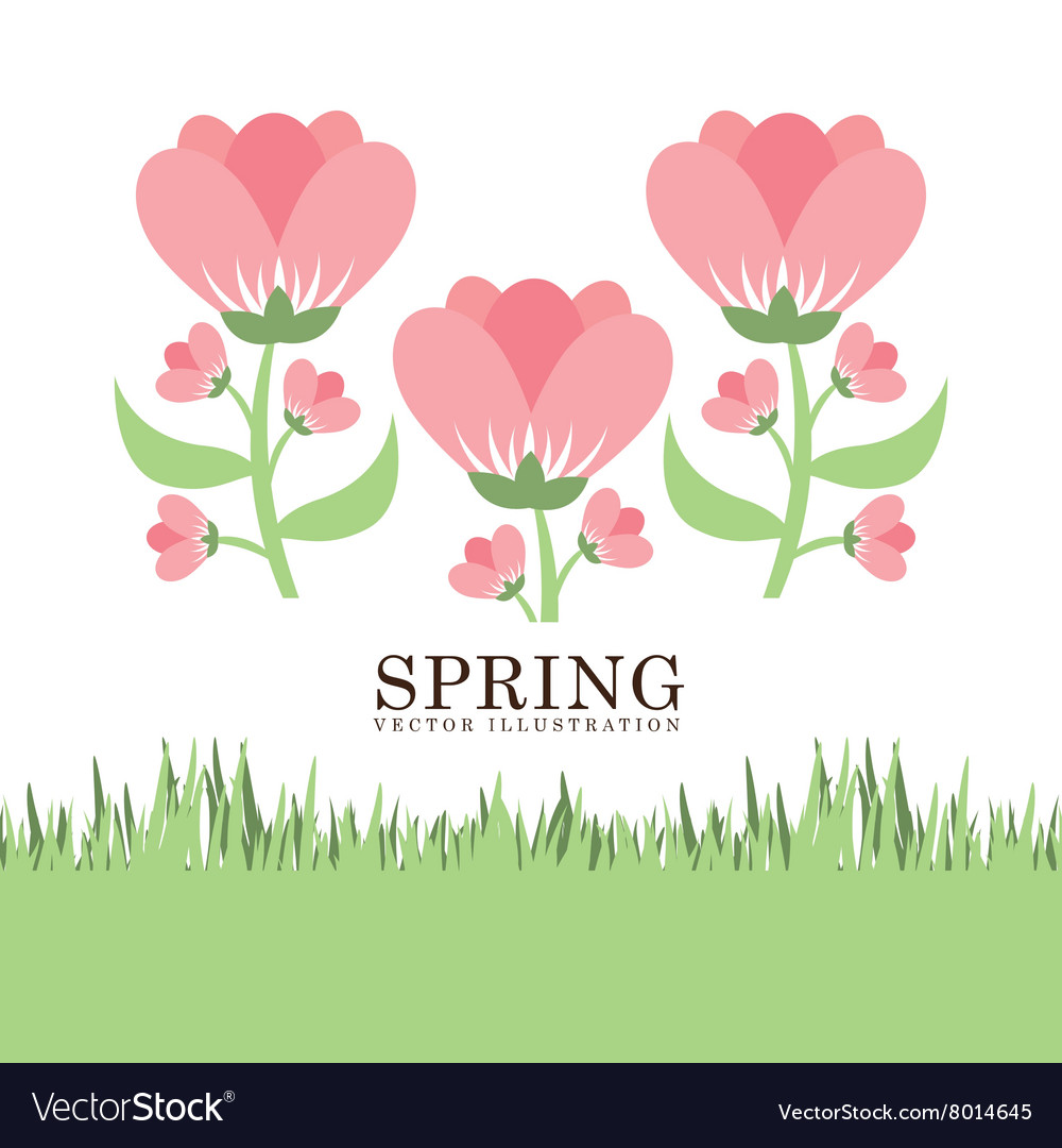 Spring season design Royalty Free Vector Image