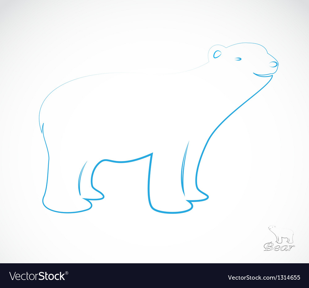 Bear Royalty Free Vector Image - VectorStock