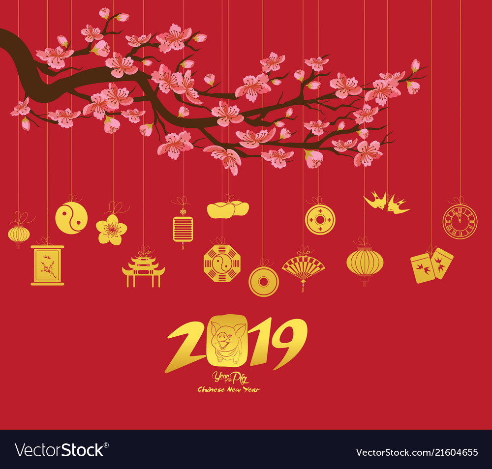 Chinese new year 2019 with lantern year pig Vector Image