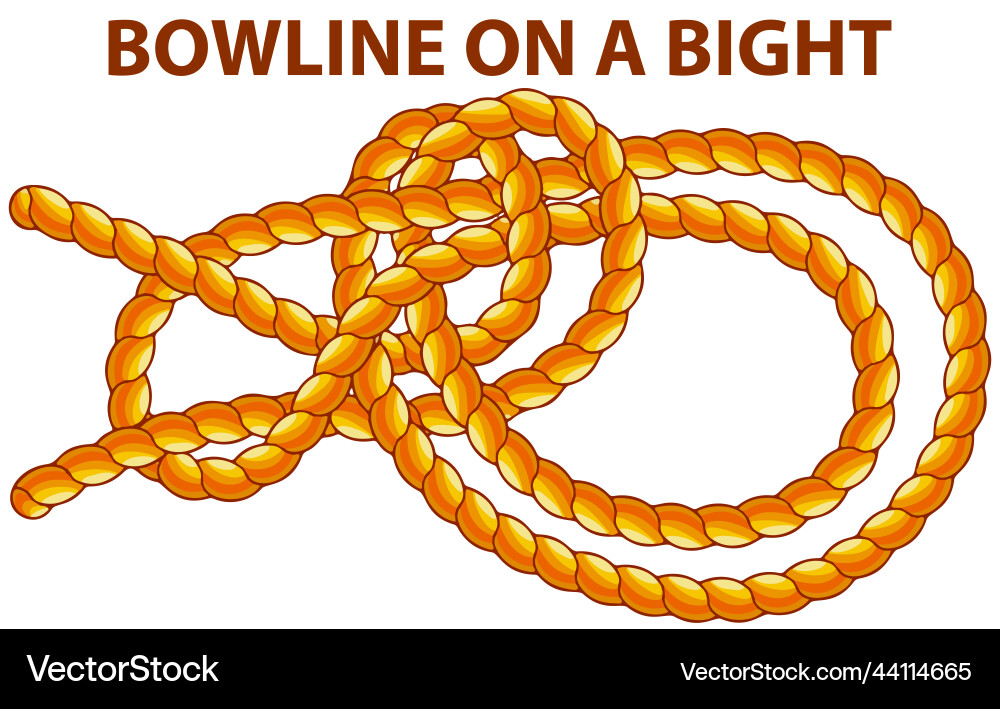 Bowline on a bight isolated on white household Vector Image