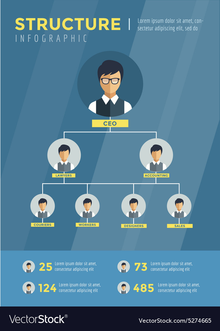 Business structure infographic tree infographic Vector Image