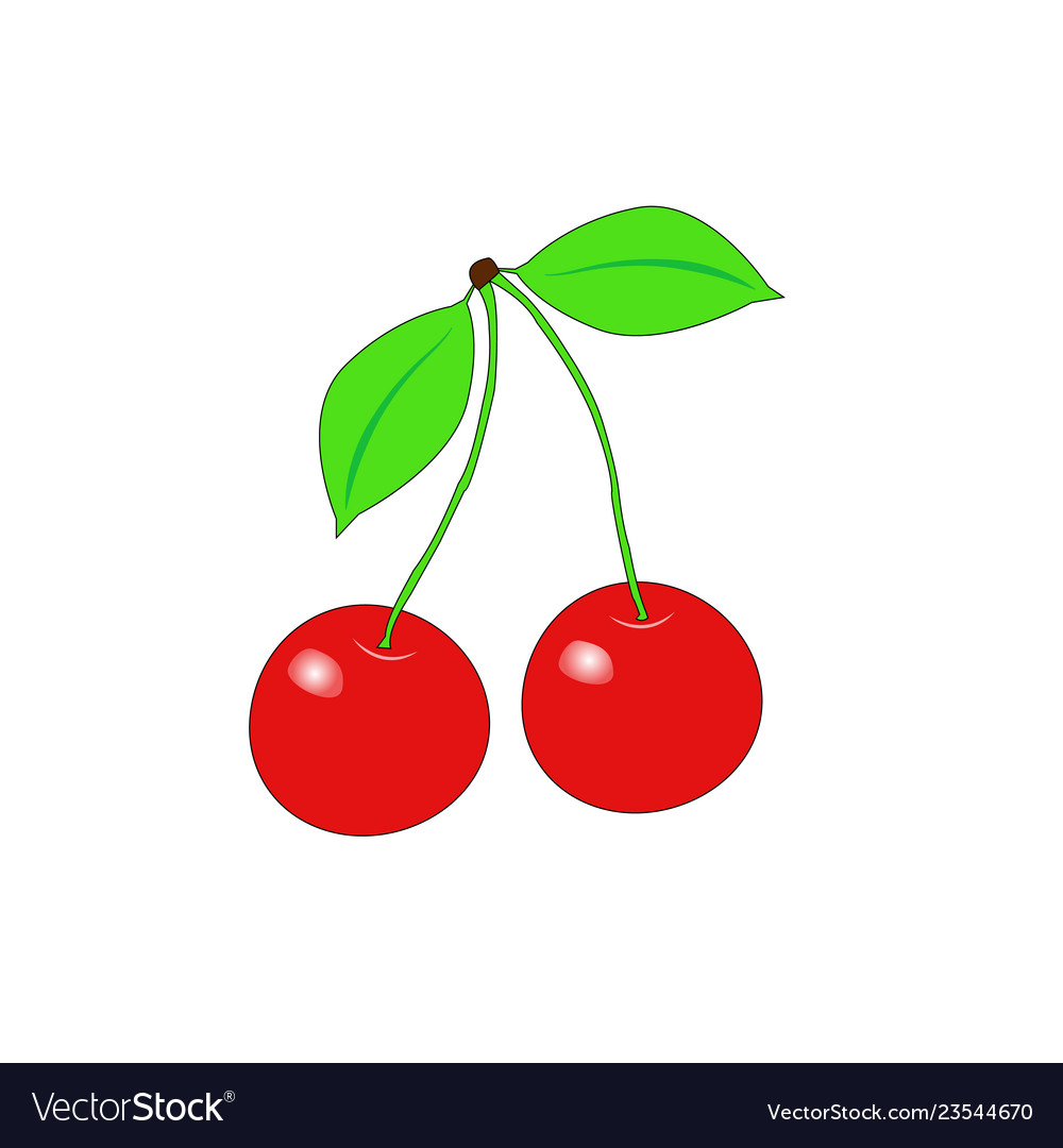 Cherry Royalty Free Vector Image - VectorStock