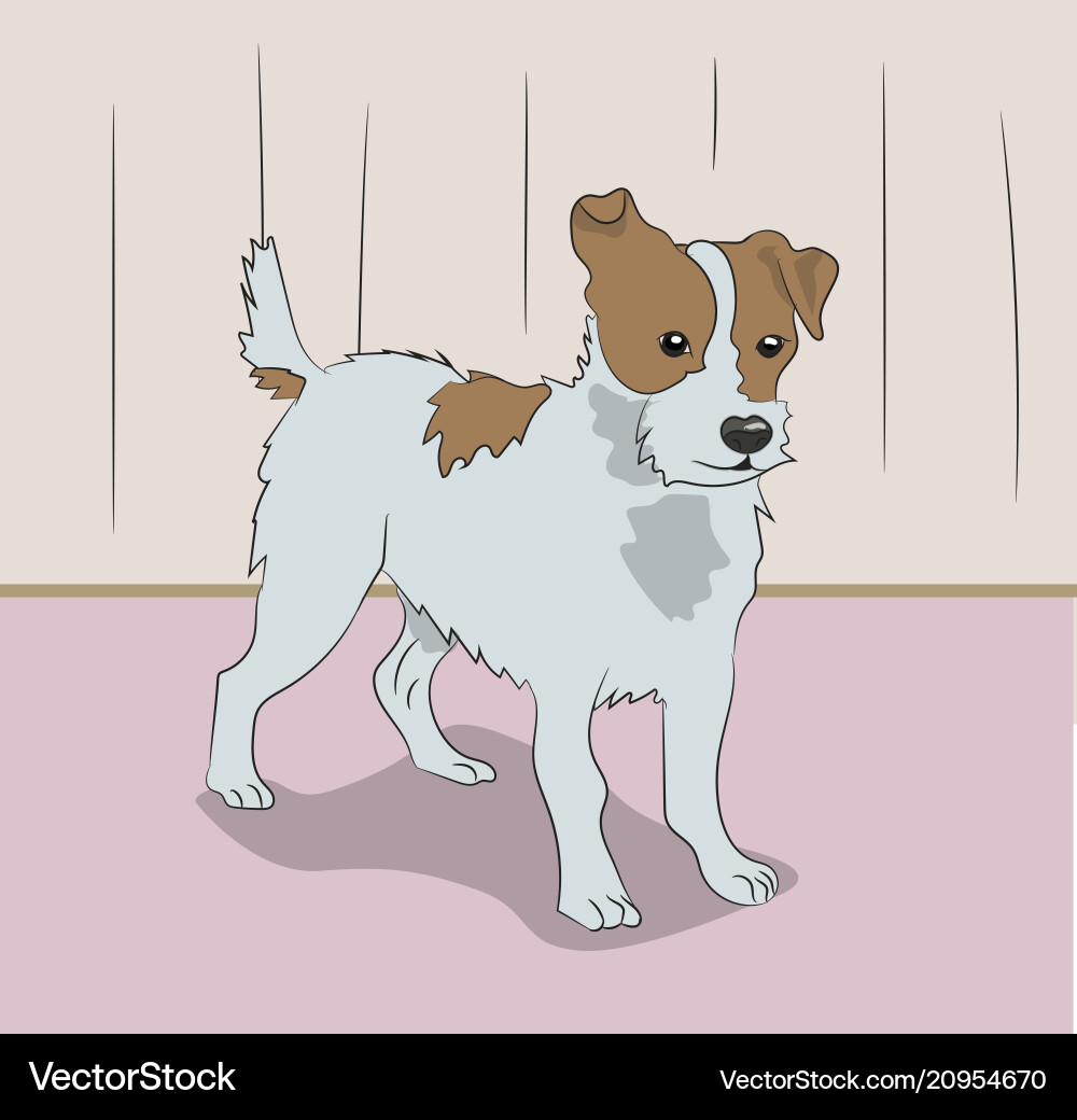 Dog in the room Royalty Free Vector Image - VectorStock