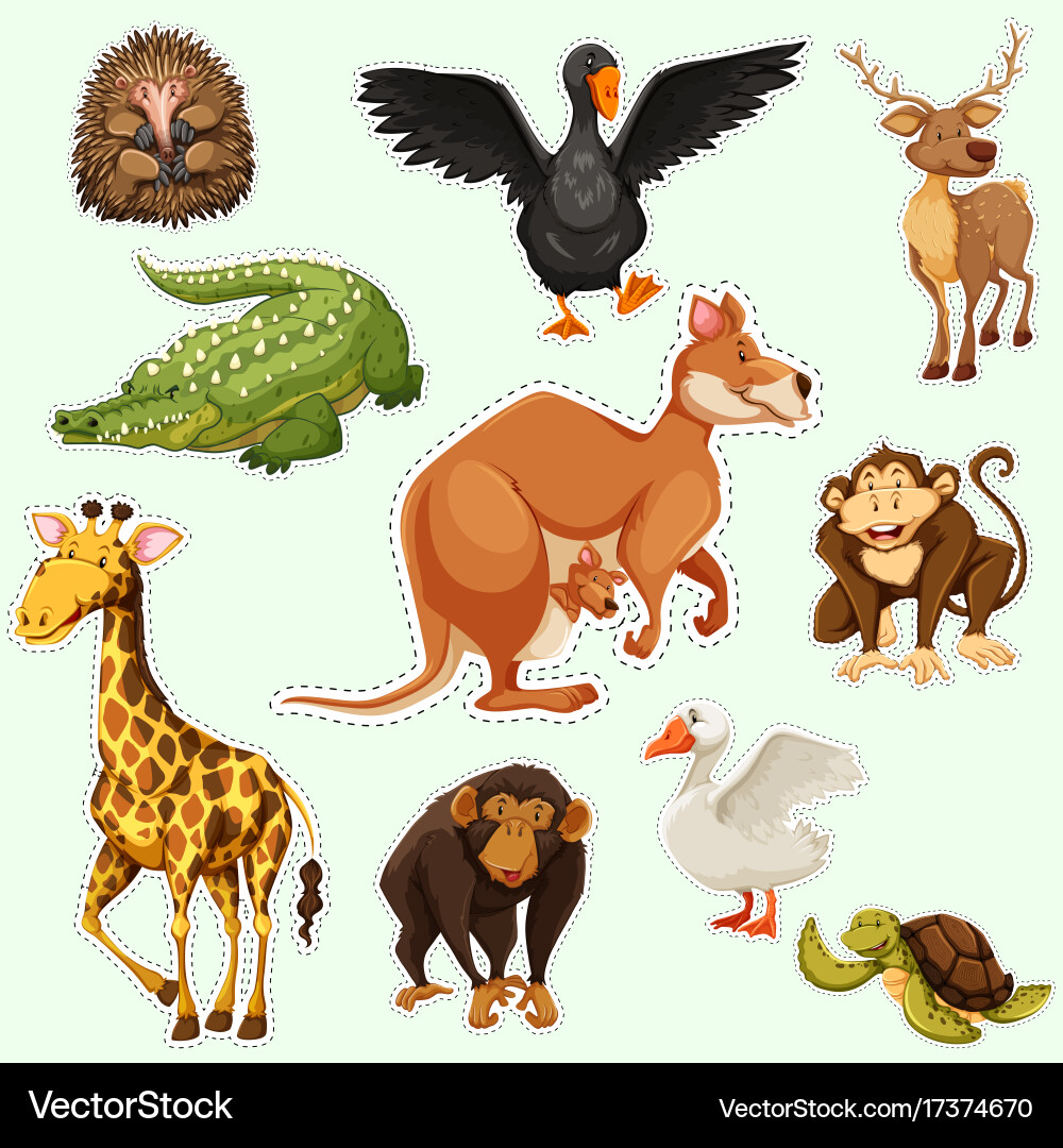 Sticker design with animals on green Royalty Free Vector
