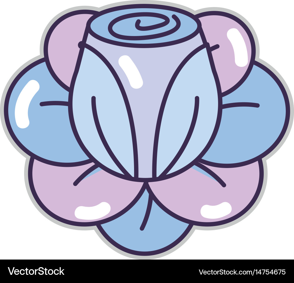 Beautiful petals flower herbal botany Royalty Free Vector