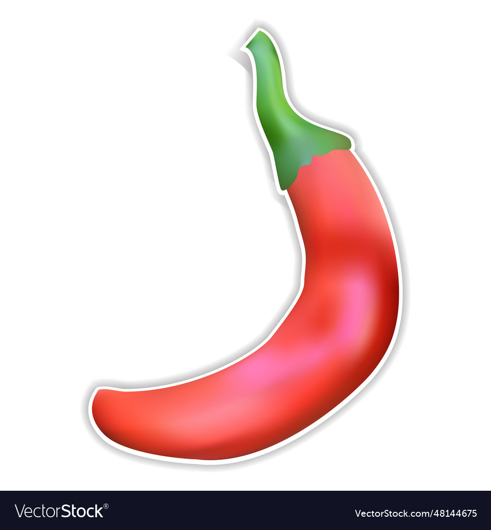 Modern red chilli Royalty Free Vector Image - VectorStock