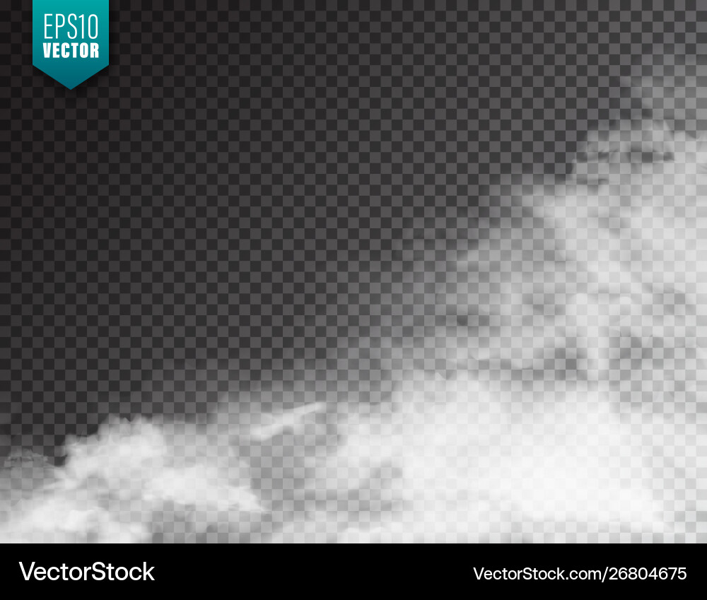 Realistic fog mist effect smoke isolated Vector Image