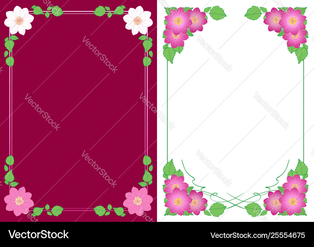 Vertical backgrounds with flowers dahlias Vector Image