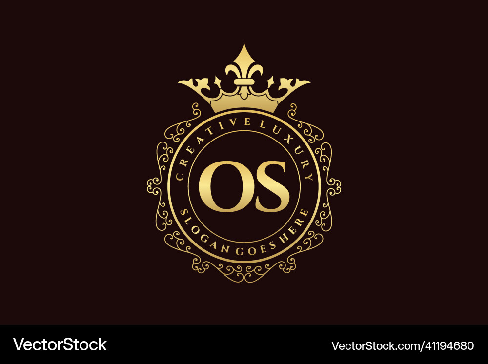 Os initial letter luxury calligraphic feminine Vector Image